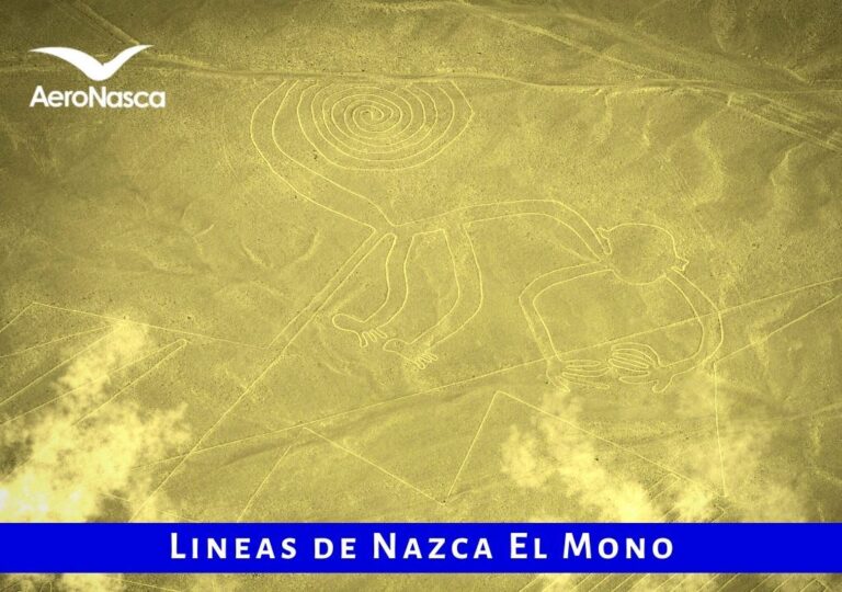 Lineas de Nazca el Mono 🥇 Descubrela con AeroNasca